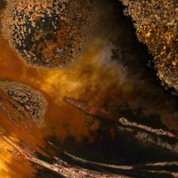 MilkDrop: App Reviews, Features, Pricing & Download | AlternativeTo