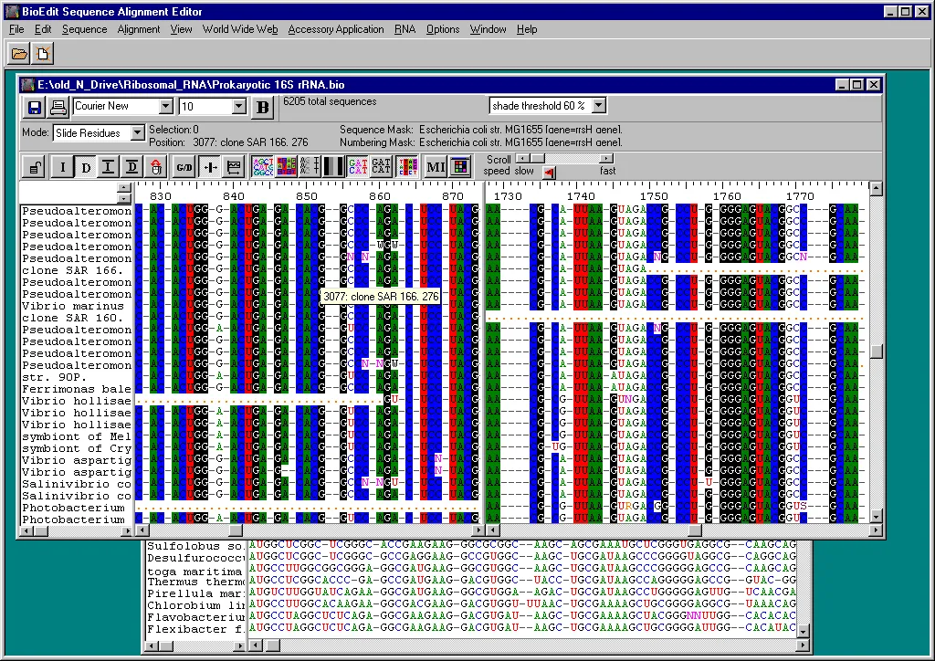 BioEdit: Biological sequence alignment editor | AlternativeTo