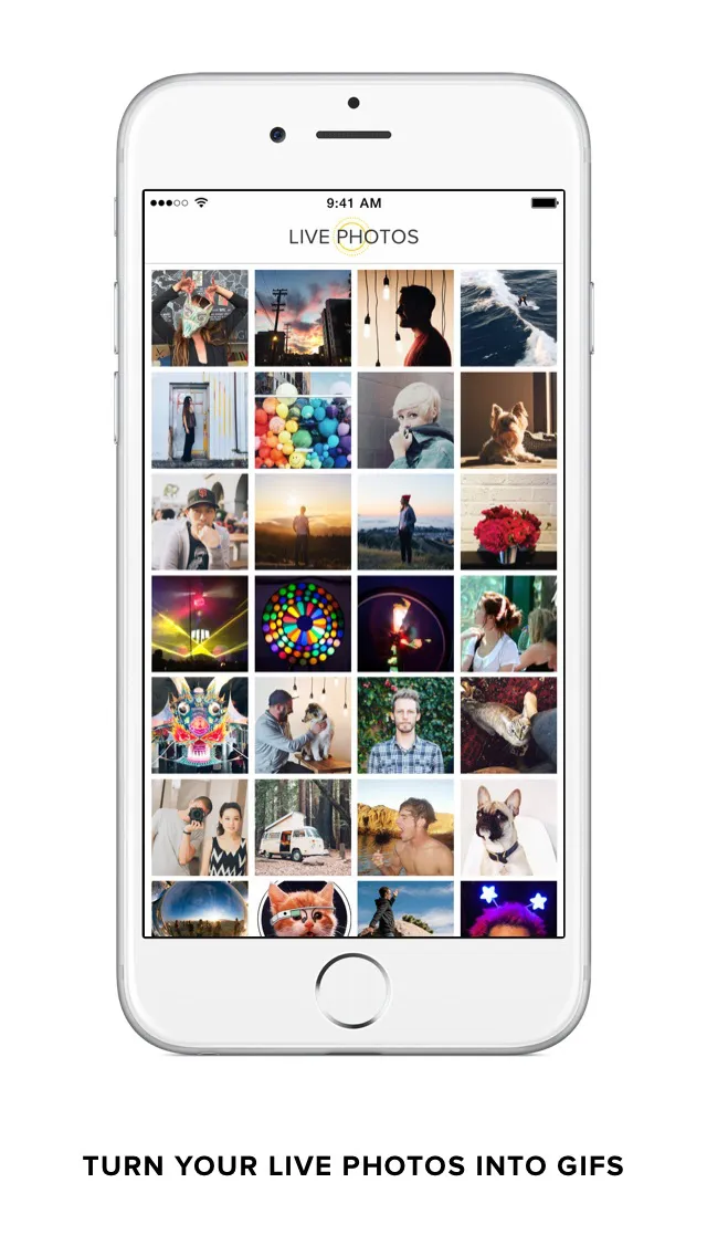 Live GIF Alternatives: Top 8 Animated GIF Creators and similar apps ...