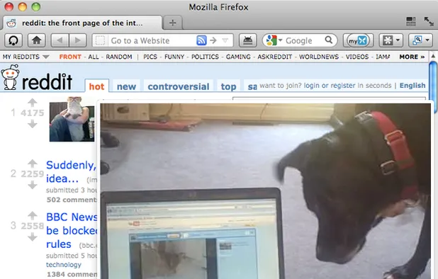 Imagus Alternatives: Top 9 Image Viewers & Similar Apps | AlternativeTo