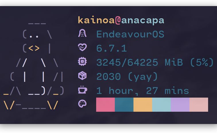 9 Great Neofetch Alternatives: Top System Information Utilities in 2024 ...