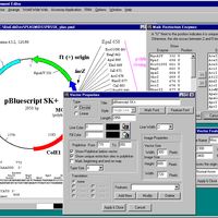 BioEdit: App Reviews, Features, Pricing & Download | AlternativeTo