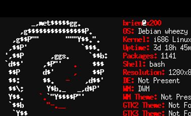 9 Great Neofetch Alternatives: Top System Information Utilities in 2024 ...