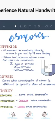 Flexcil Alternatives for Windows: Top 7 Note-taking Tools & PDF Readers ...