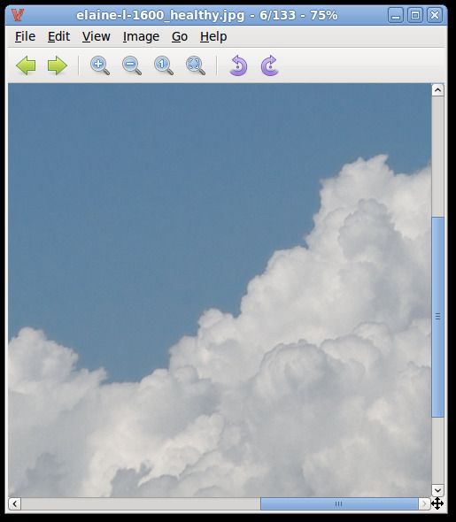 Viewnior Alternatives: 25+ Image Viewers and similar apps | AlternativeTo