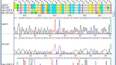 Chromas: App Reviews, Features, Pricing & Download | AlternativeTo