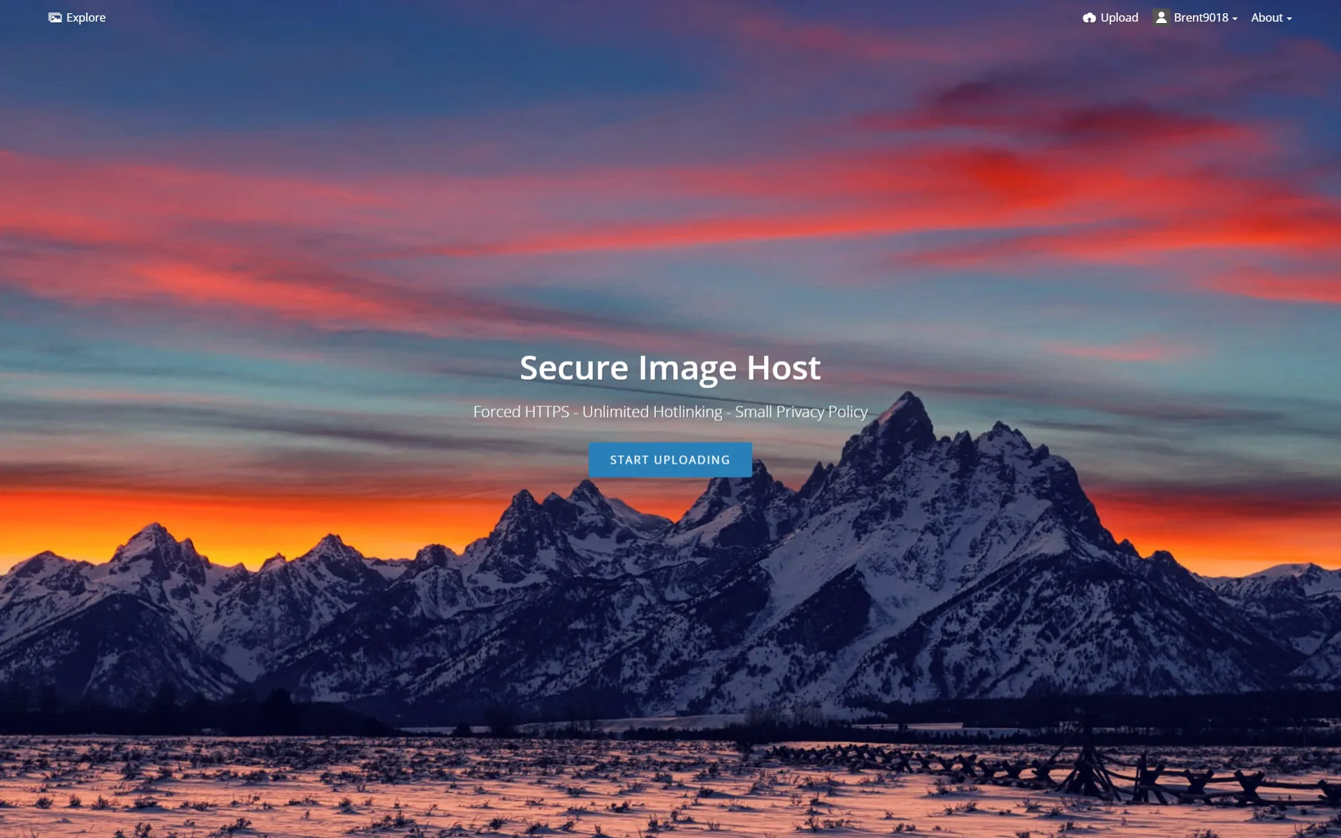 Upload It! Alternatives: Top 12 Image Hosting Services & Similar ...