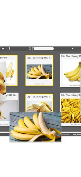 PureRef Alternatives: Top 10 Image Viewers & Similar Apps | AlternativeTo