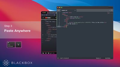 Blackbox - Select. Copy. Paste & Search: App Reviews, Features, Pricing ...