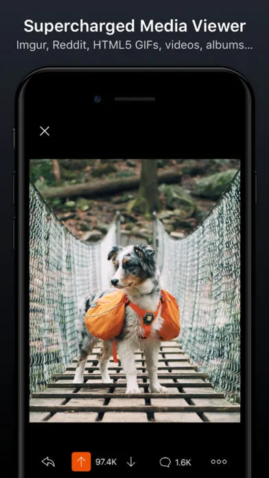 Apollo Alternatives: Top 10 Reddit Clients & Similar Apps | AlternativeTo