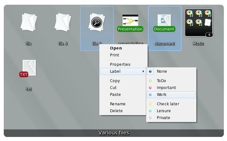 Nimi Places Alternatives: Top 10 Desktop Customization Tools & Similar ...