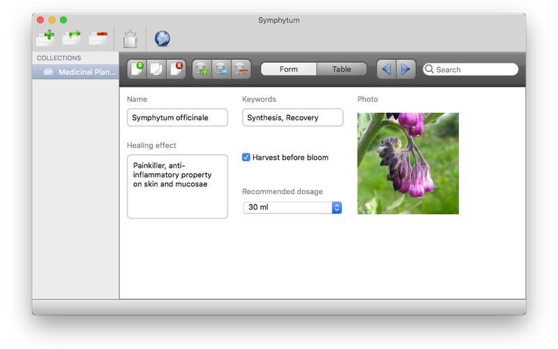 10 Great Microsoft Access Alternatives: Top Database Managers in 2022 ...