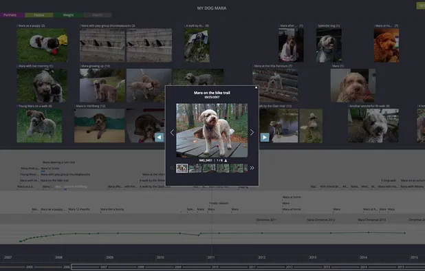 Timeline JS Alternatives and Similar Sites & Apps | AlternativeTo