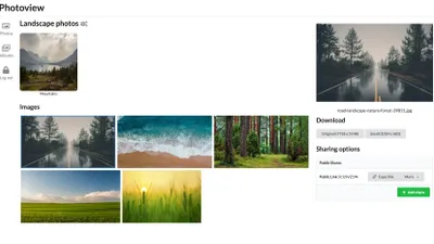 Synology Photo Station Alternatives: 25+ Image Hosting Services and ...
