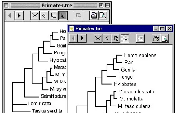 FigTree Alternatives - Explore Similar Software | AlternativeTo