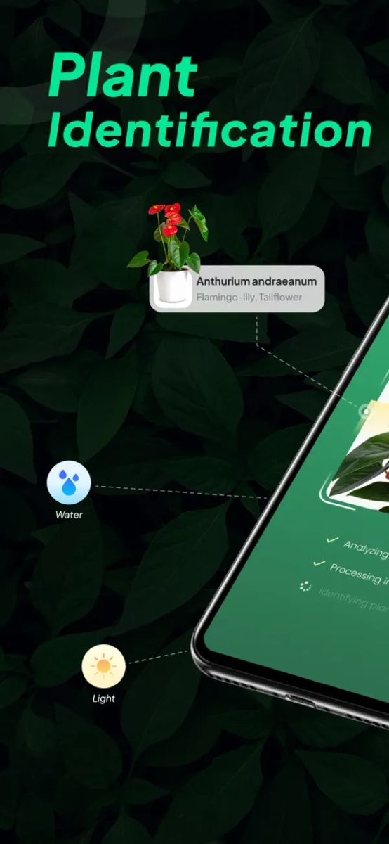 LeafSnap Plant Identification Alternatives - Page 2 | AlternativeTo