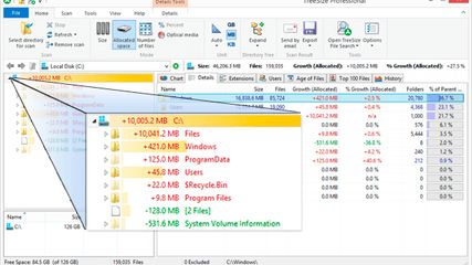 TreeSize: The powerful disk space management software | AlternativeTo