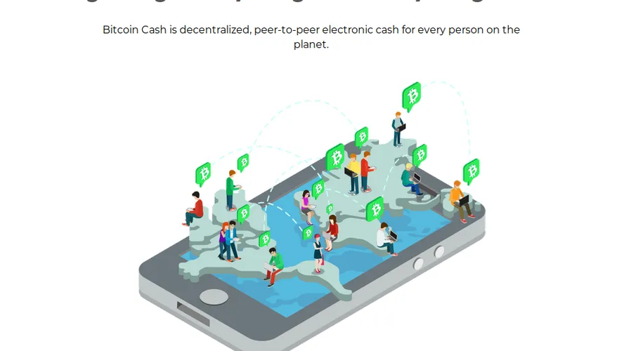 9 Best Bitcoin Alternatives: Top Cryptocurrency Coins in 2024 ...