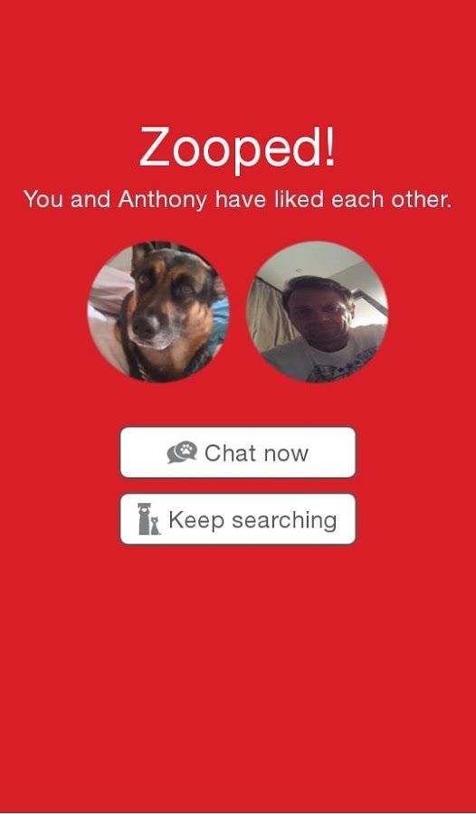 Zoopa Alternatives and Similar Apps | AlternativeTo