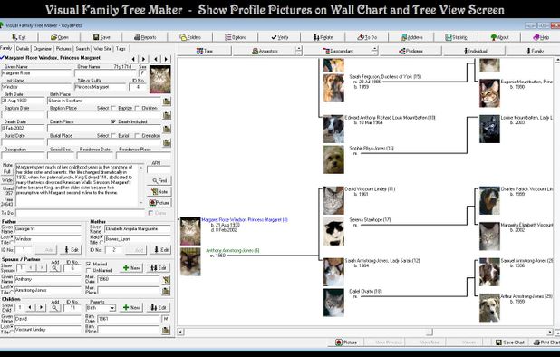 Visual Family Tree Maker: Simplifies making your family tree ...
