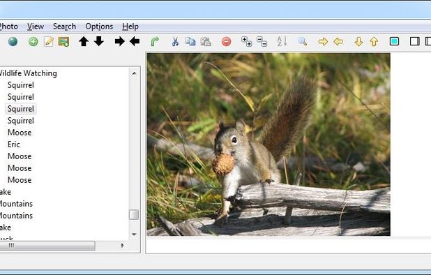 Tree Notes Alternatives: Top 10 Note-taking Tools & Similar Apps ...