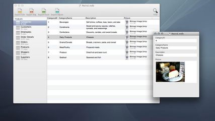 MDB ACCDB Viewer: Open Microsoft Access databases on your Mac ...