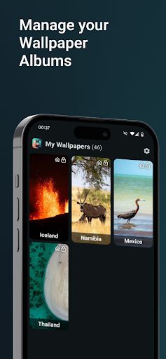 My Wallpapers Alternatives: Top 17 Wallpapers Hubs & Similar Apps ...