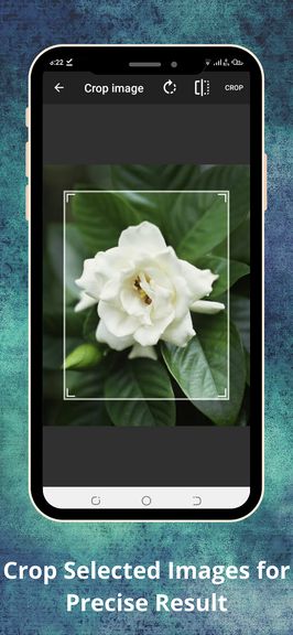 Magic Eraser Background Editor Alternatives and Similar Apps ...
