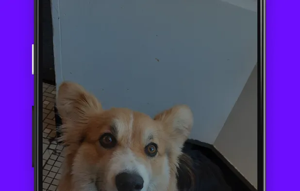 12 Great AirDrop Alternatives: Top Similar Apps in 2025 | AlternativeTo