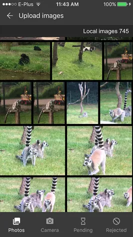 Pixabay: Over 1.6 million royalty free stock photos and videos shared ...