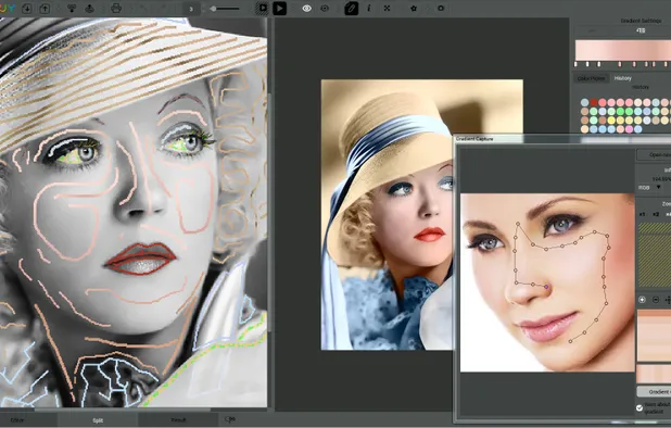 Photo-Colorizer Alternatives - Explore Similar Software | AlternativeTo