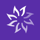 Network Perspective Alternatives and Similar Software | AlternativeTo