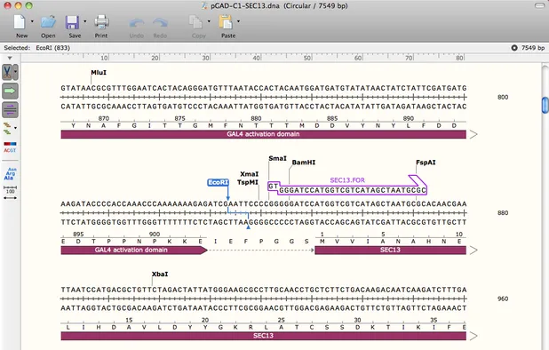 SnapGene Viewer: Is revolutionary software that allows molecular ...