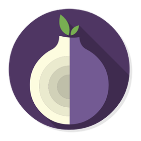 Best Tor Alternatives: Top Anonymizing Networks & Privacy Tools in 2025 ...