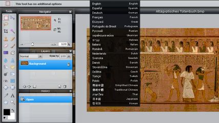 Pixlr: Makes it easy to transform everyday images into stunning works ...