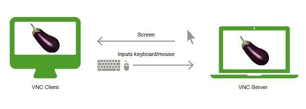 Vine VNC Alternatives and Similar Software | AlternativeTo