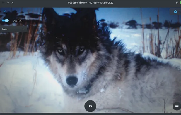 Cameroid Alternatives - Explore Similar Sites & Apps | AlternativeTo