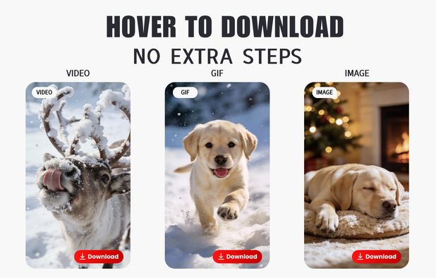 PinLoad: Download Pinterest videos, images, and GIFs online — no login ...