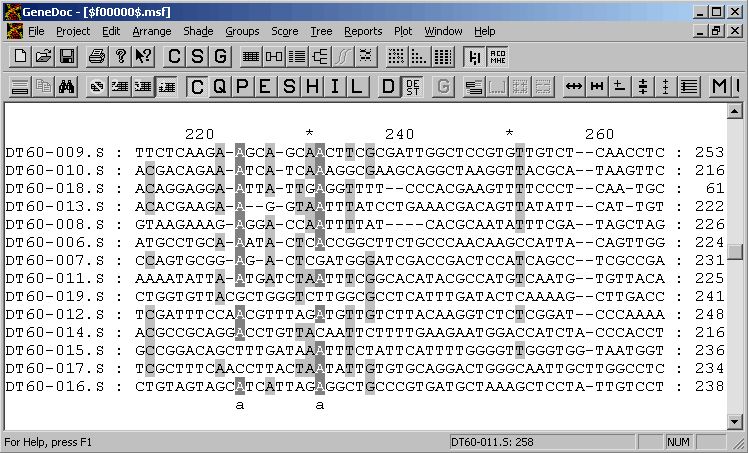 GeneDoc: App Reviews, Features, Pricing & Download | AlternativeTo