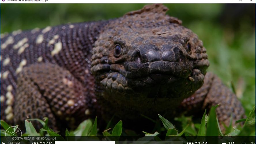 MPV: Audio and movie player based on MPlayer and mplayer2 | AlternativeTo