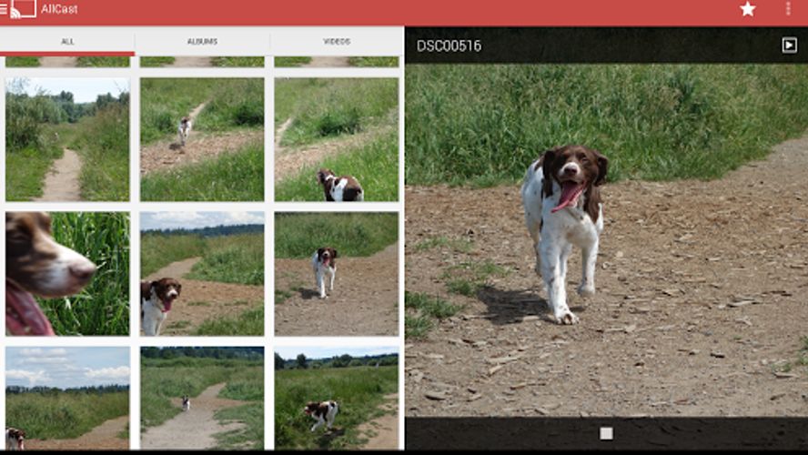 12 Great Videostream Alternatives: Top Video Streaming Apps | AlternativeTo