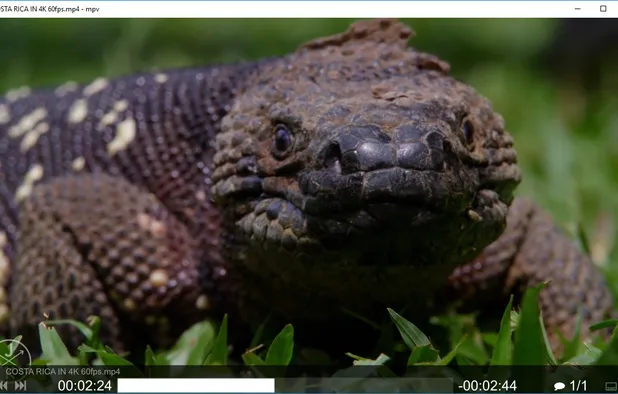 7 Best Winamp Alternatives: Top Audio & Media Players in 2025 ...