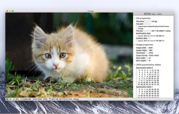 GonVisor Alternatives: 25+ Comic and Manga Readers | AlternativeTo